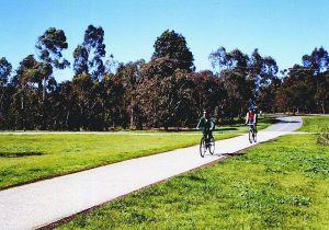 Bicycle Facilities – Road Safety Toolkit