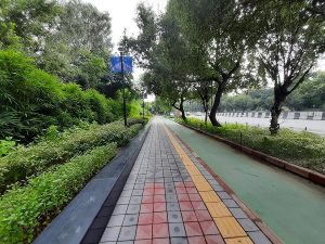 Pedestrian Footpath – Road Safety Toolkit