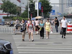 Pedestrian Crossing – Signalised – Road Safety Toolkit