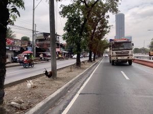 Service Road – Road Safety Toolkit